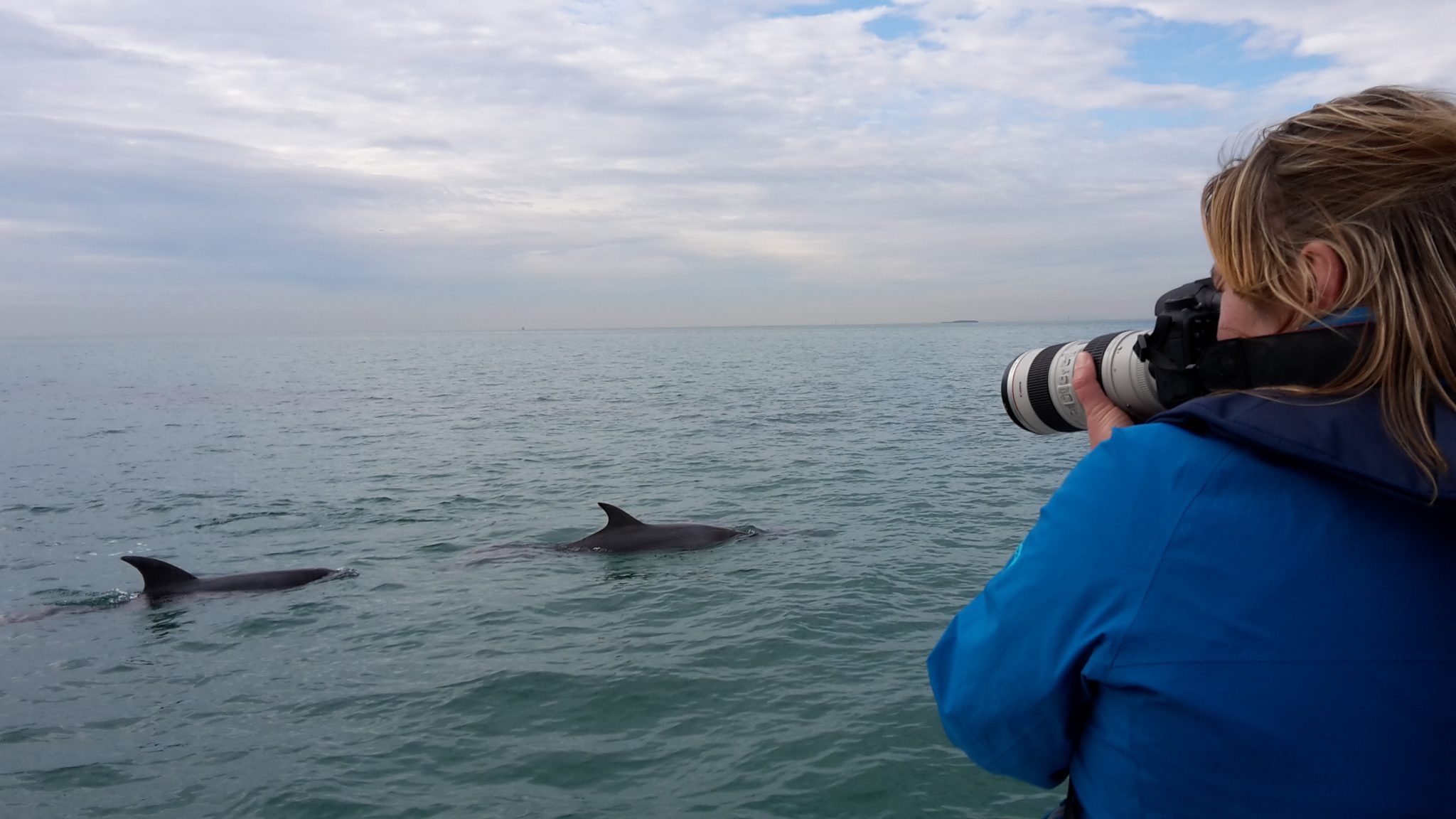 Cetacean Sisters - Cetacean Science Connections
